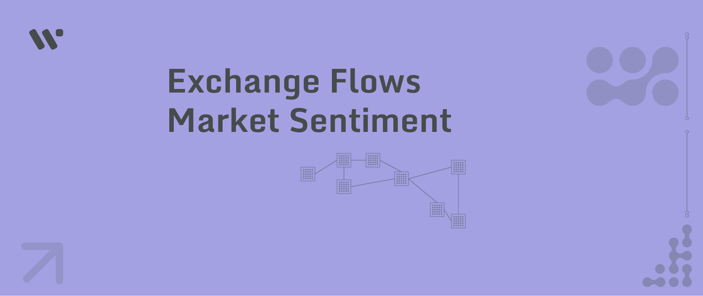 Exchange Flow Metrics - Understanding Market Sentiment | Wevr Ai Blog