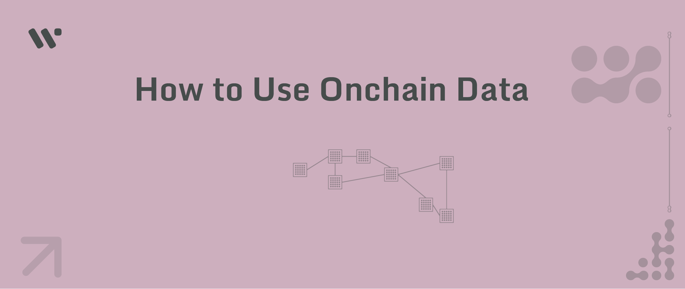 How to use Onchain Data | Wevr Ai Blog