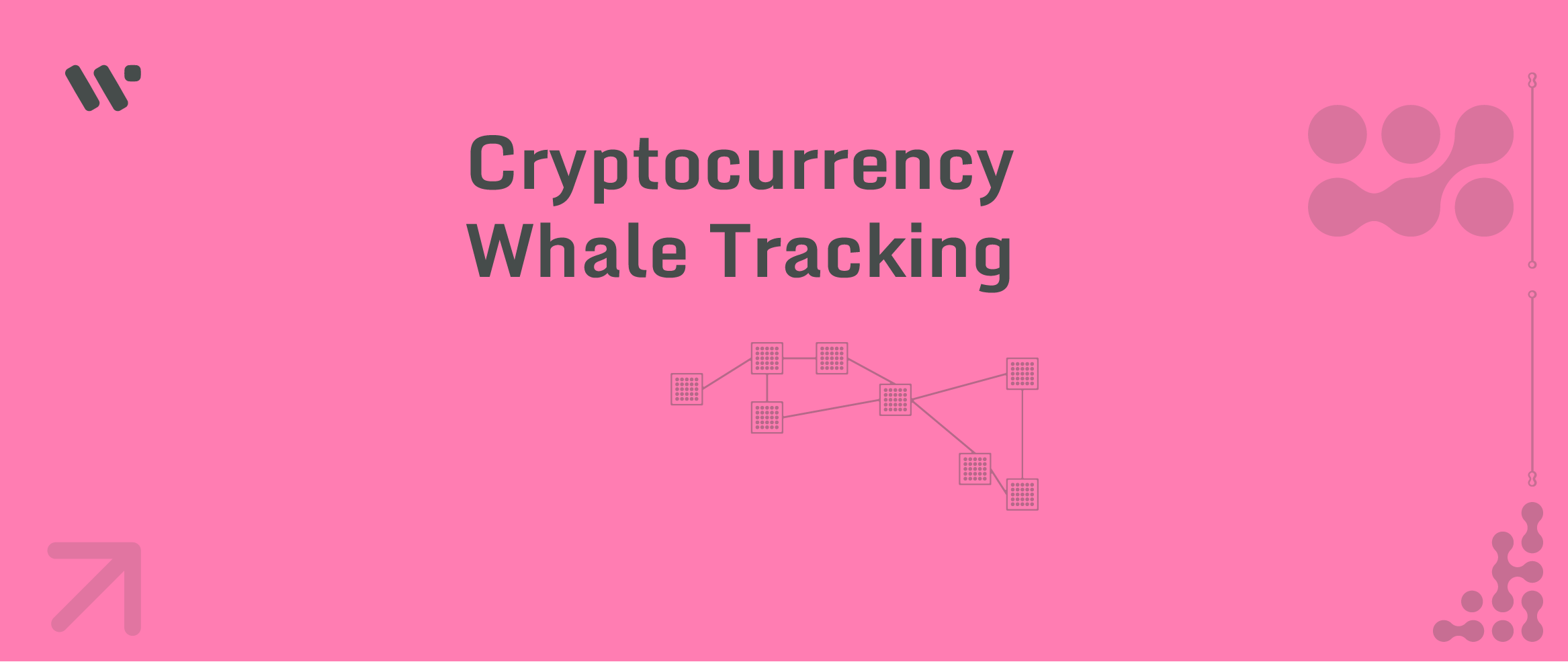 Crypto Whale Trackers - Unveiling the Movements of Cryptocurrency Giants | Wevr Ai Blog